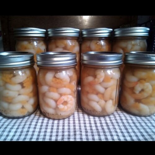 Step-by-Step Pressure Canning Shrimp Recipe