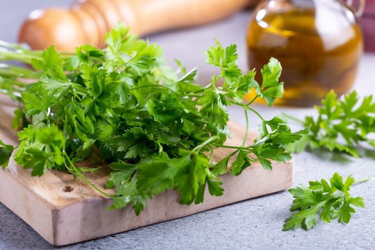 Sopa de Galets - Hearty Catalan Soup for Christmas Day